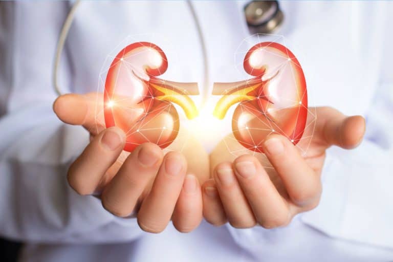 Tips for Kidney Health and Warning Signs | NextCare